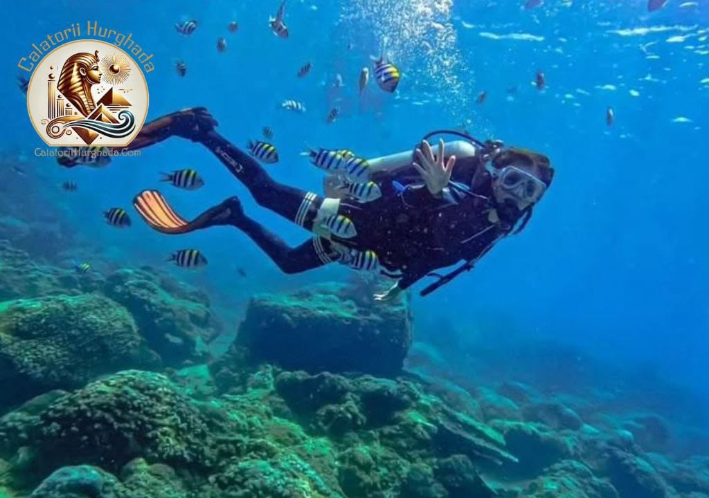 Giftun Island & Carless Reef - Calatorii Hurghada